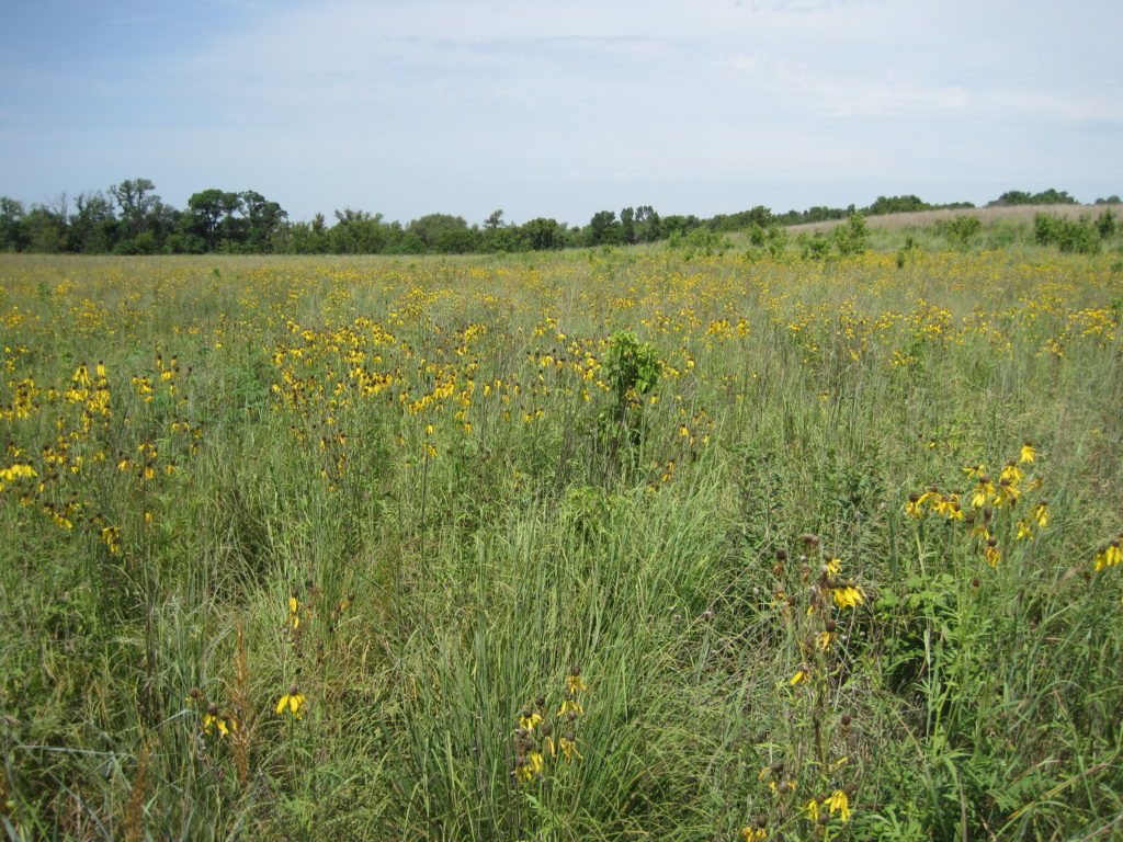 Minnesota CREP – Blue Earth Soil & Water