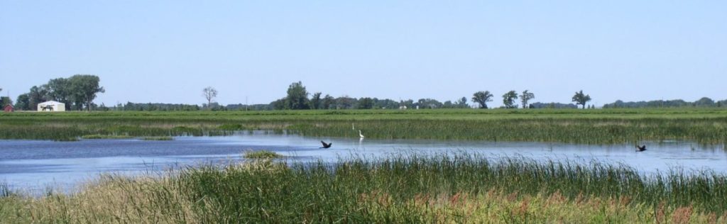 Minnesota CREP – Blue Earth Soil & Water